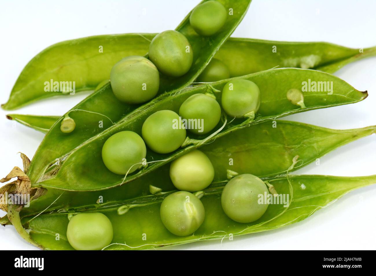 Fresh green pea pod with beans isolated on white background. Horizontal ...