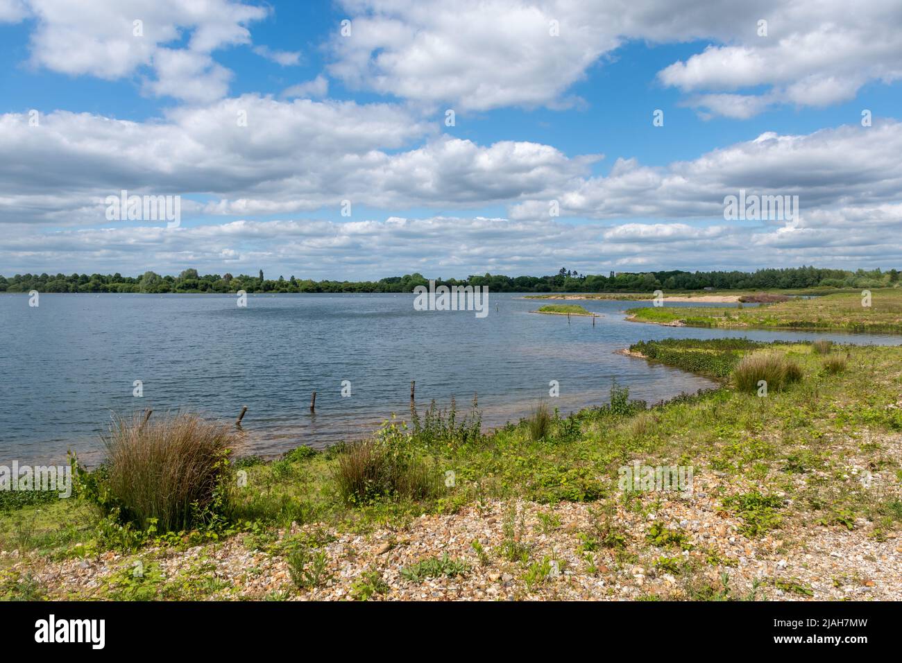 Blashford Lakes Nature Reserve, view from the Ivy Hide during May ...