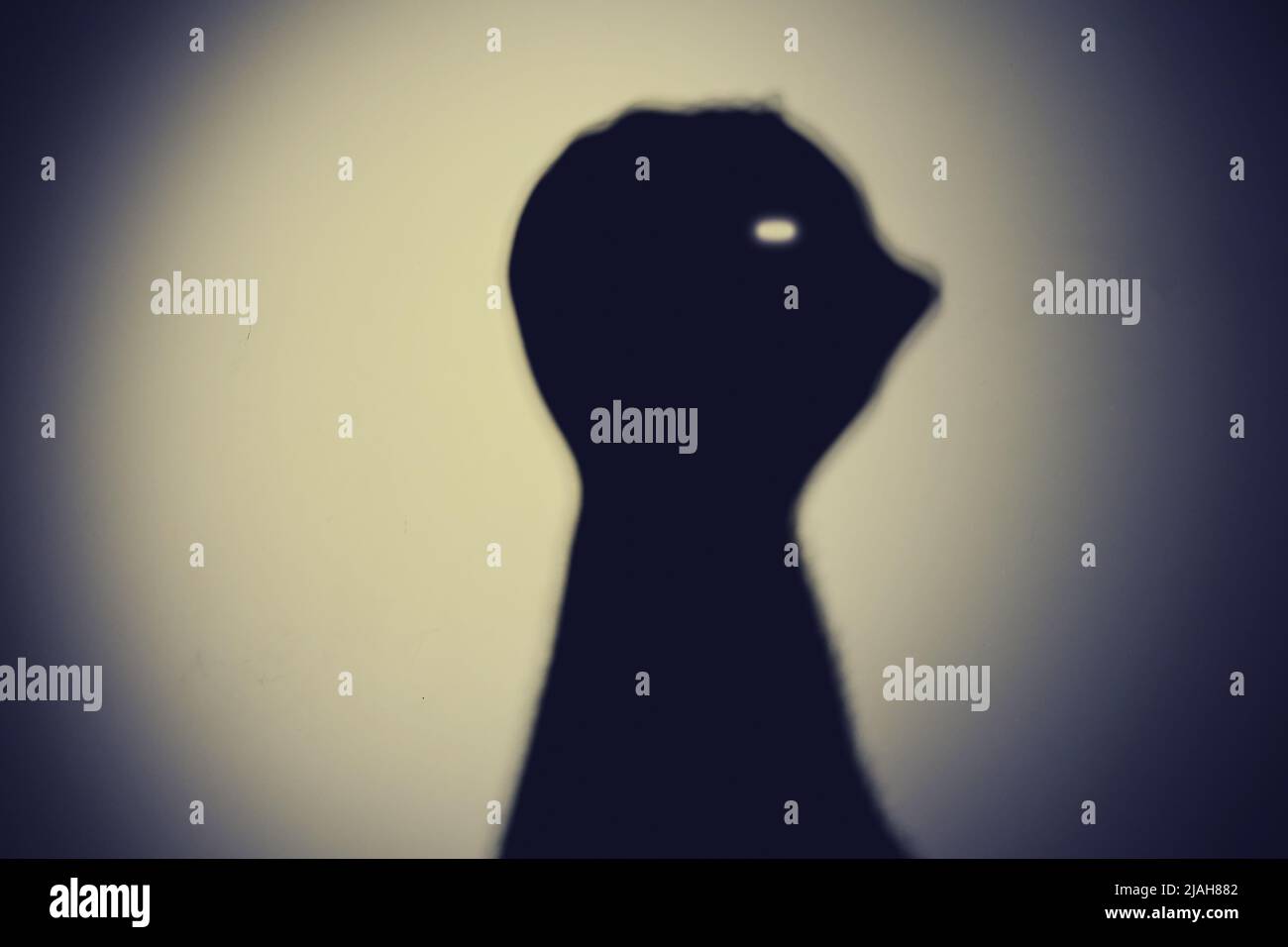 Shadow of a hand from the night light of a flashlight on a white wall ...