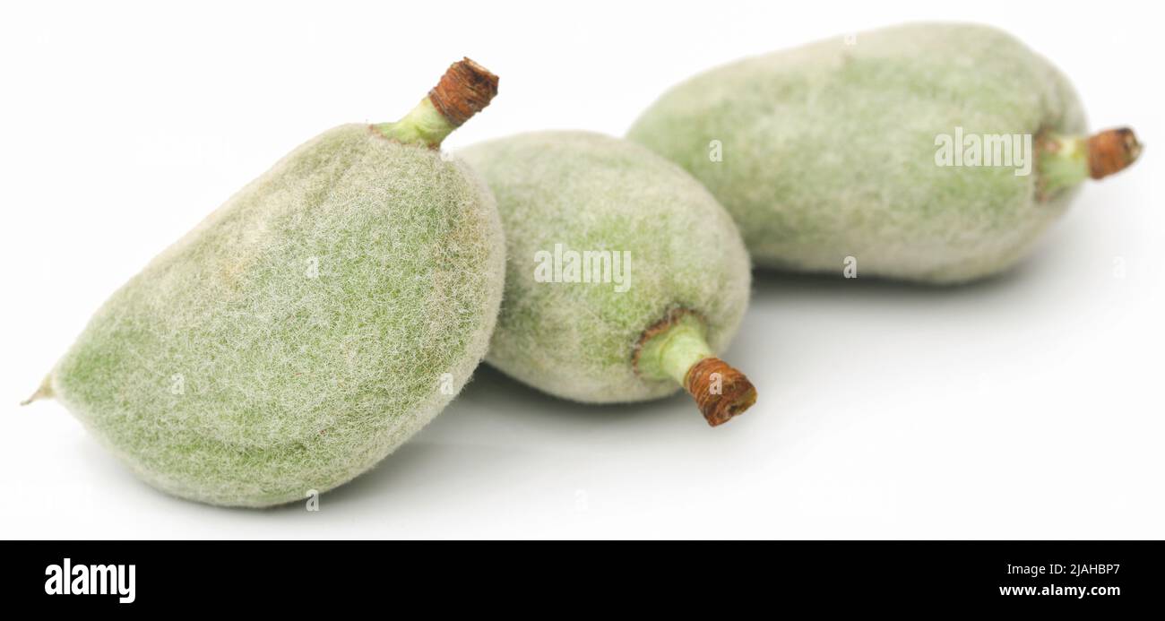 Green almond over white background Stock Photo - Alamy