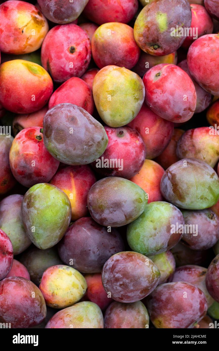 Mango delicious hi-res stock photography and images - Alamy