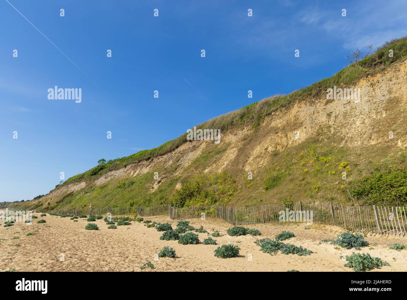 View of the beach and cliffs at Dunwich, near Suffolk, Suffolk. UK ...