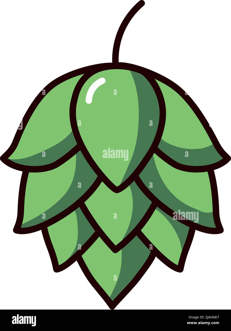 Beer hops illustration hi-res stock photography and images - Alamy