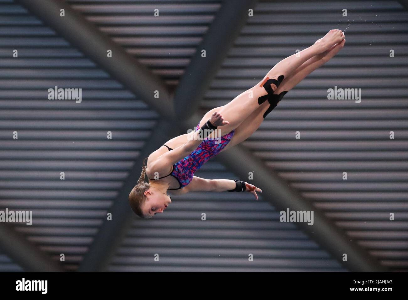 Maise hi-res stock photography and images - Alamy