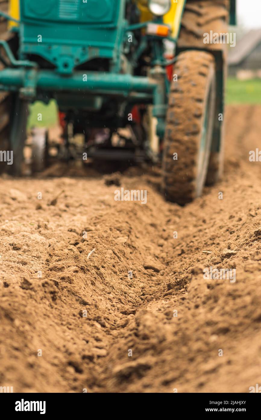 Plowing and sowing the soil with a farm tractor in an agricultural ...