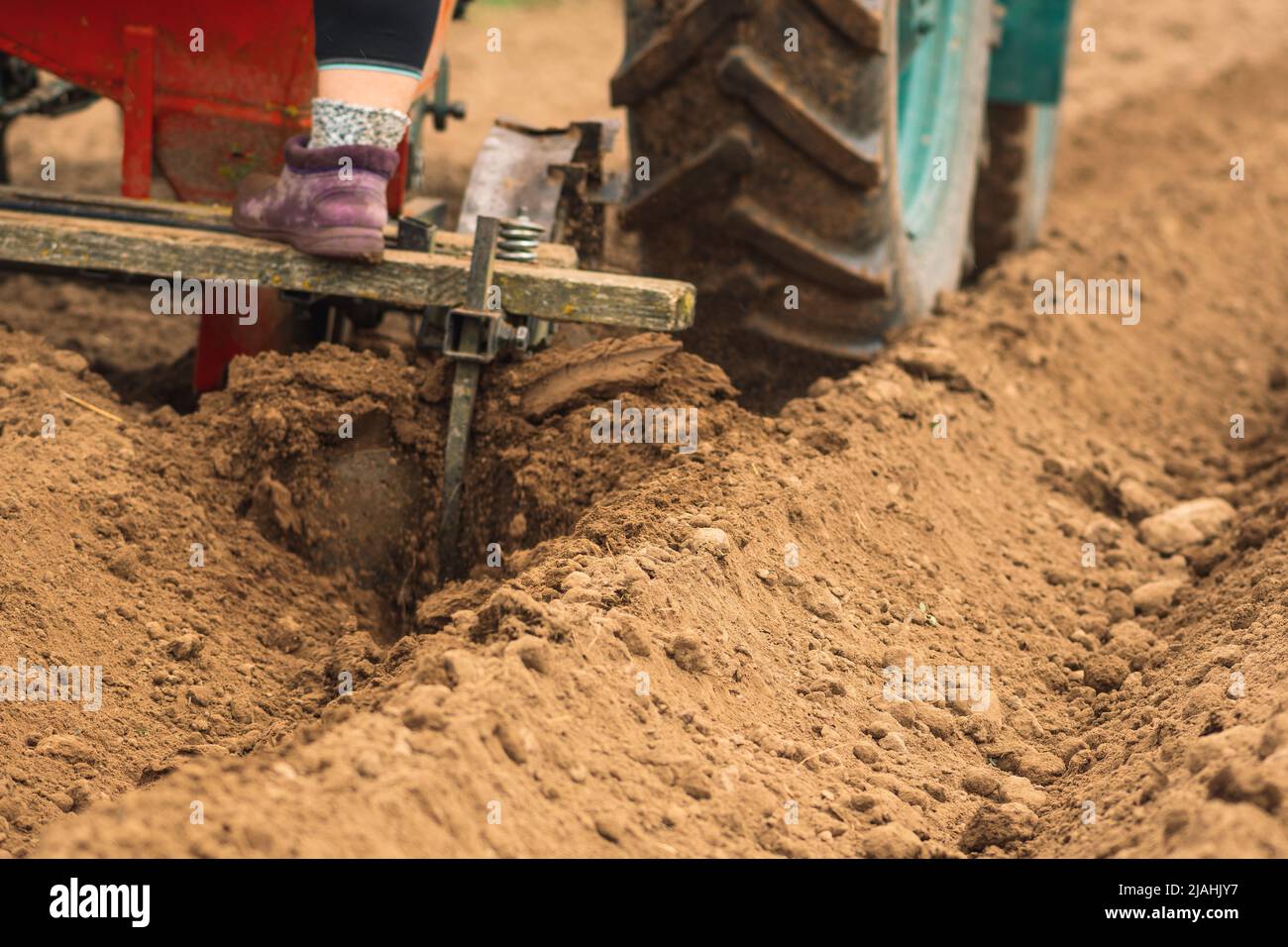Plowing and sowing the soil with a farm tractor in an agricultural ...