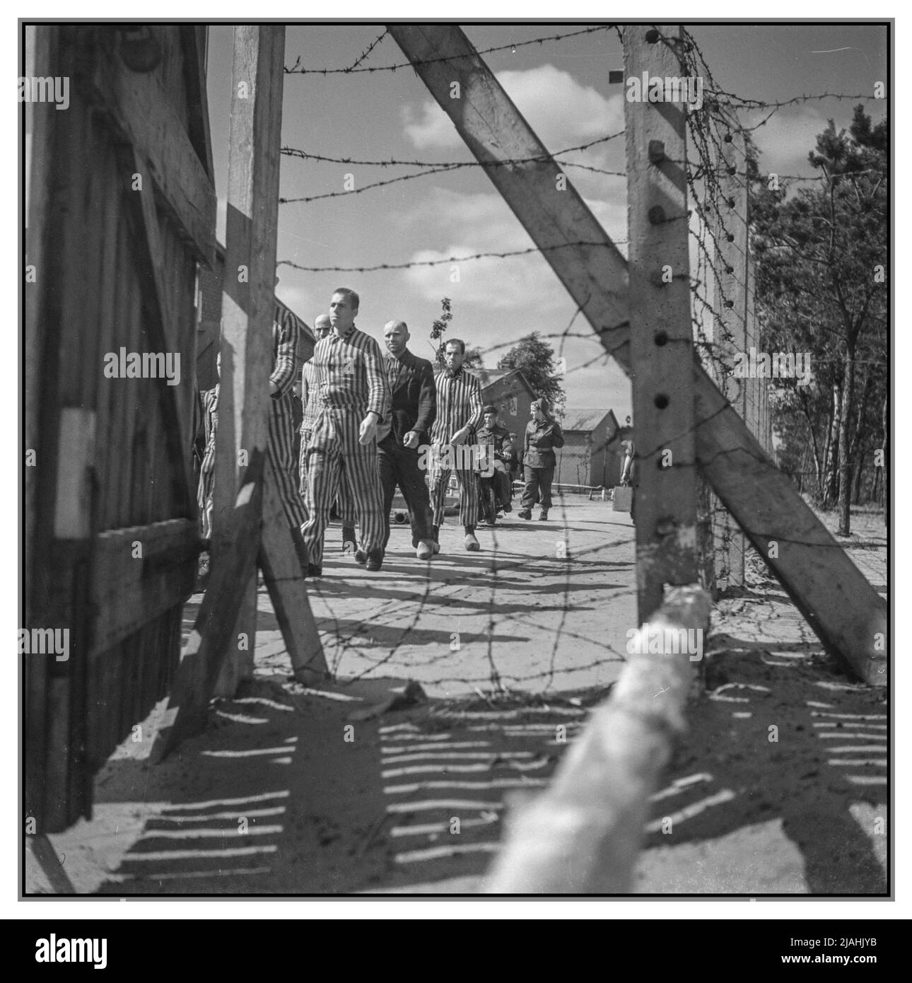 Dutch waffen ss hi-res stock photography and images - Alamy