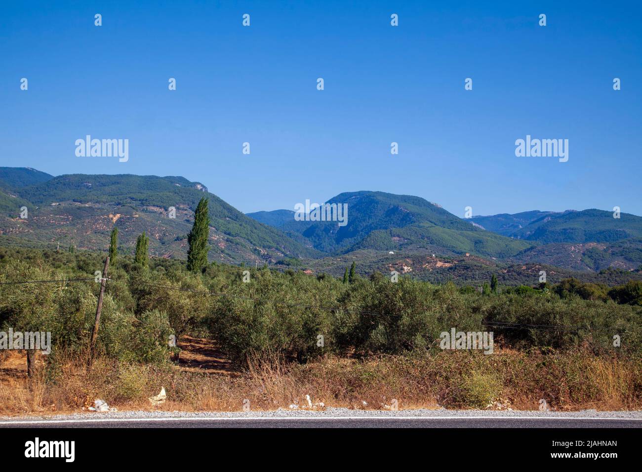Ida Mountain-Kaz Daglari in Turkey. (in Turkish: Kazdagi, meaning Goose ...