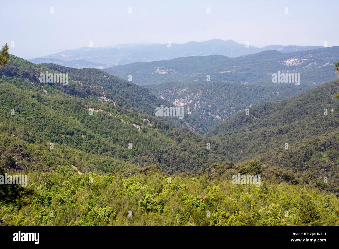 Ida Mountain-Kaz Daglari in Turkey. (in Turkish: Kazdagi, meaning Goose ...