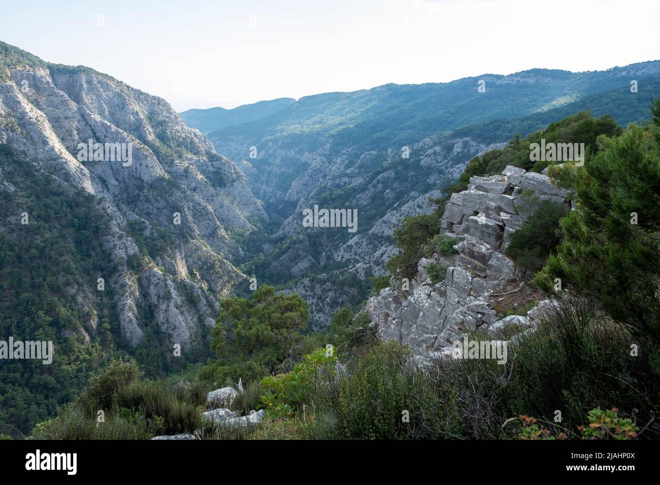 Ida Mountain-Kaz Daglari in Turkey. (in Turkish: Kazdagi, meaning Goose ...