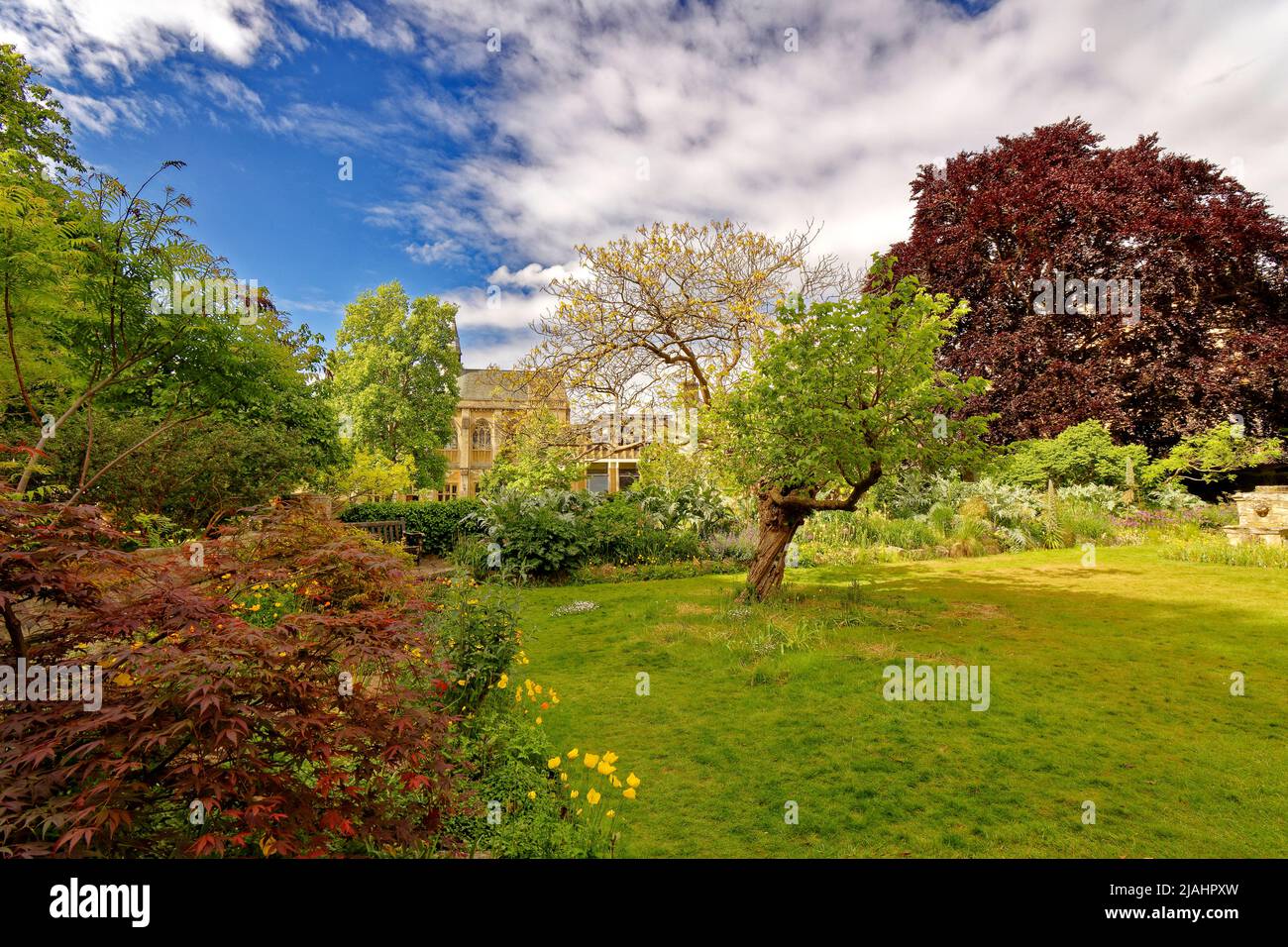 John brackenbury hi-res stock photography and images - Alamy