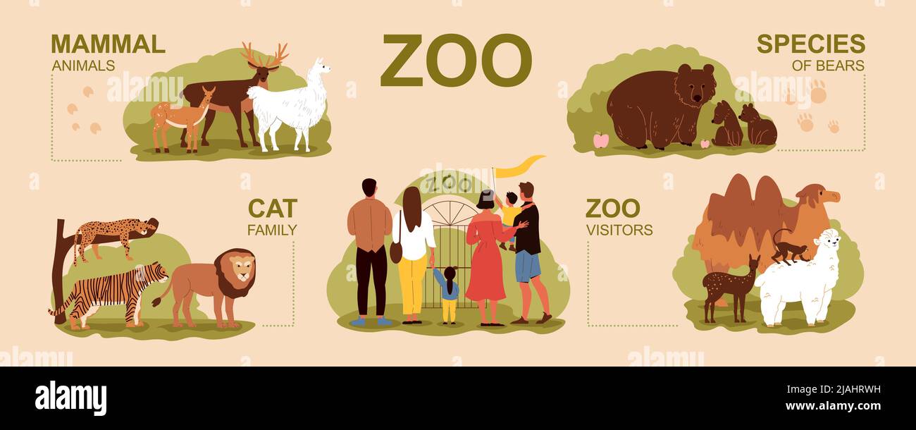 Zoo infographic set with cat family and visitors flat vector ...