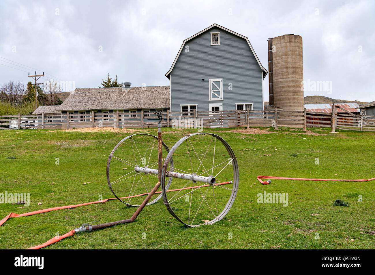 Green pasture with an irrigation system below an old gray barn Stock ...