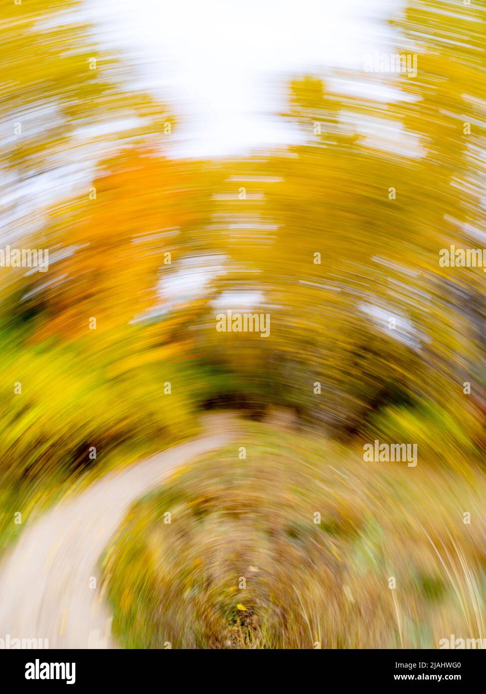 Abstract foot path into autumn forest motion blur Stock Photo - Alamy