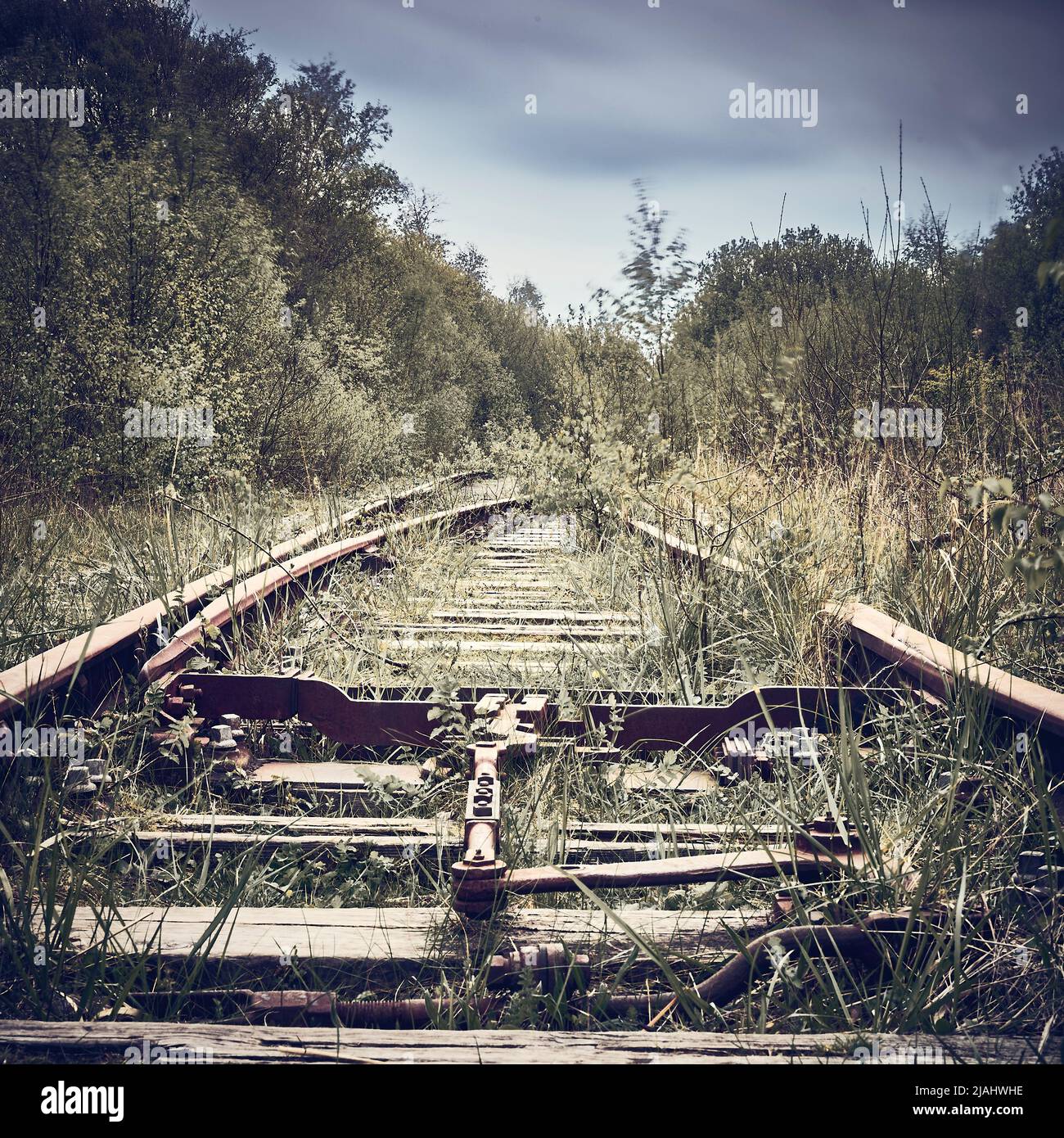 Overgrown railway track hi-res stock photography and images - Alamy
