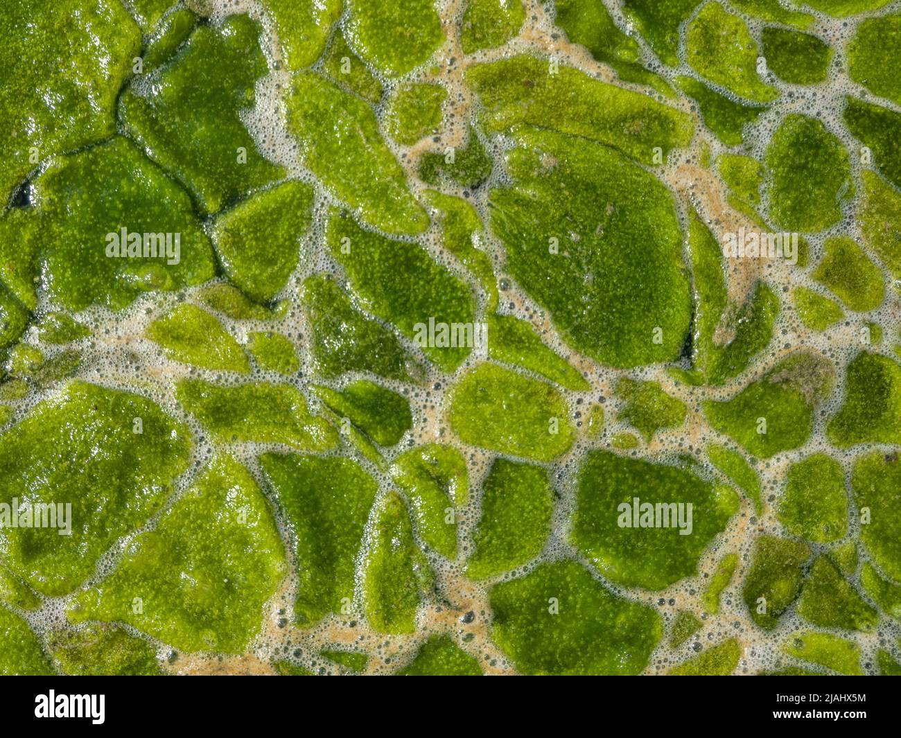 Foamy mats hi-res stock photography and images - Alamy