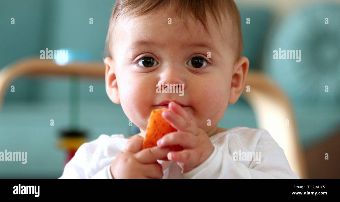 Baby face eating healthy snack fruit, infant child eats piece of apple ...