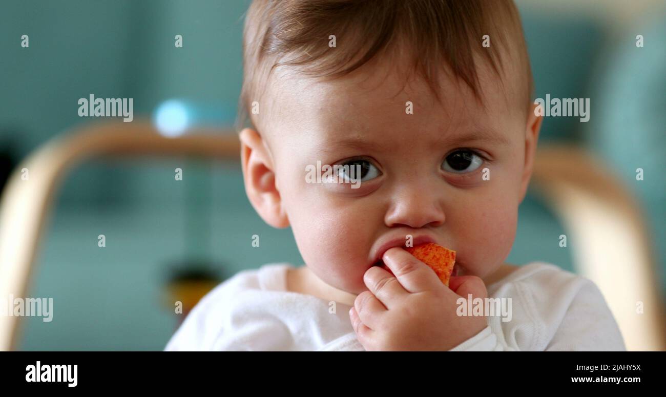 Baby face eating healthy snack fruit, infant child eats piece of apple ...