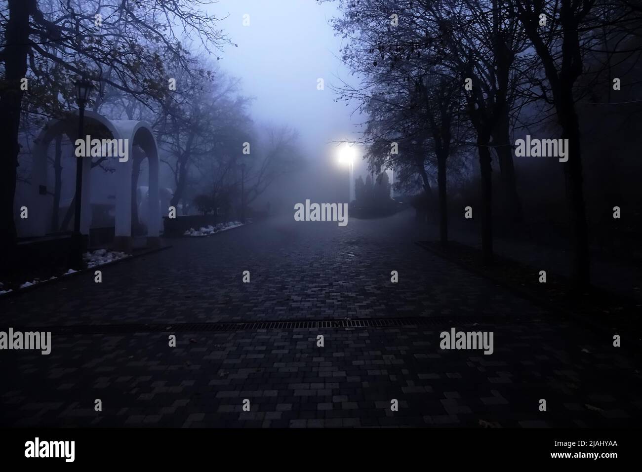 Winter park with gazebo, walking alley in thick fog and dim light of ...
