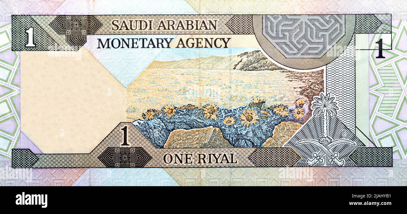 Large fragment of the reverse side of 1 one Saudi Arabia riyal money ...