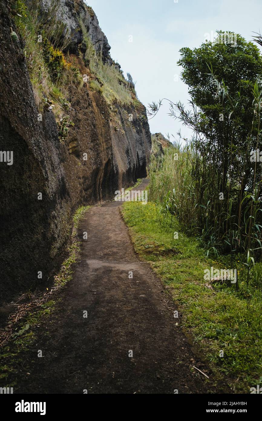 The mountain trekking trail on San Miguel Island, Azores Archipelago ...