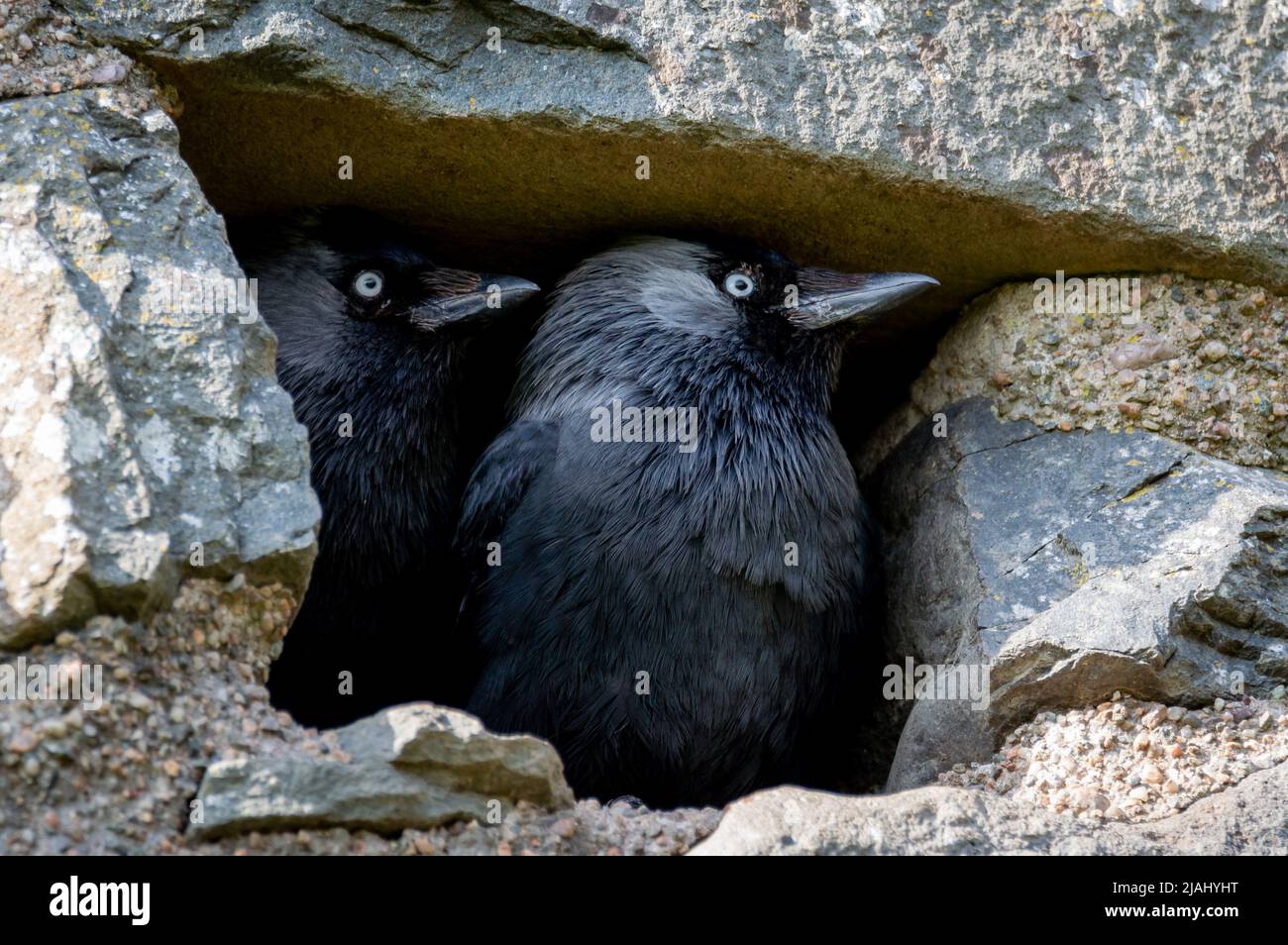 Recess in wall hi-res stock photography and images - Alamy