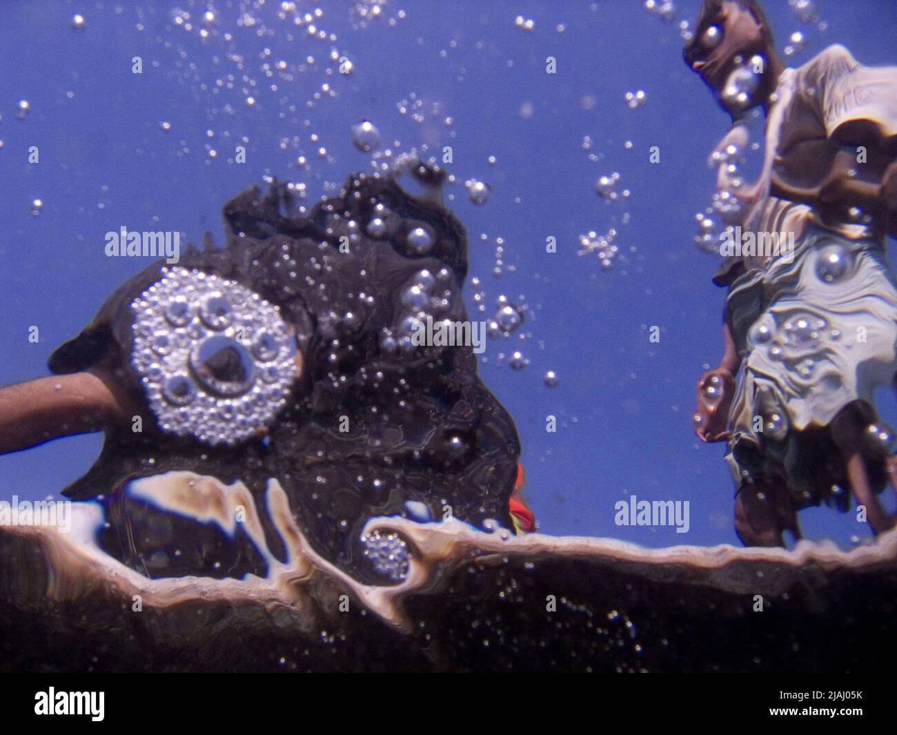 Population of fish hi-res stock photography and images - Alamy