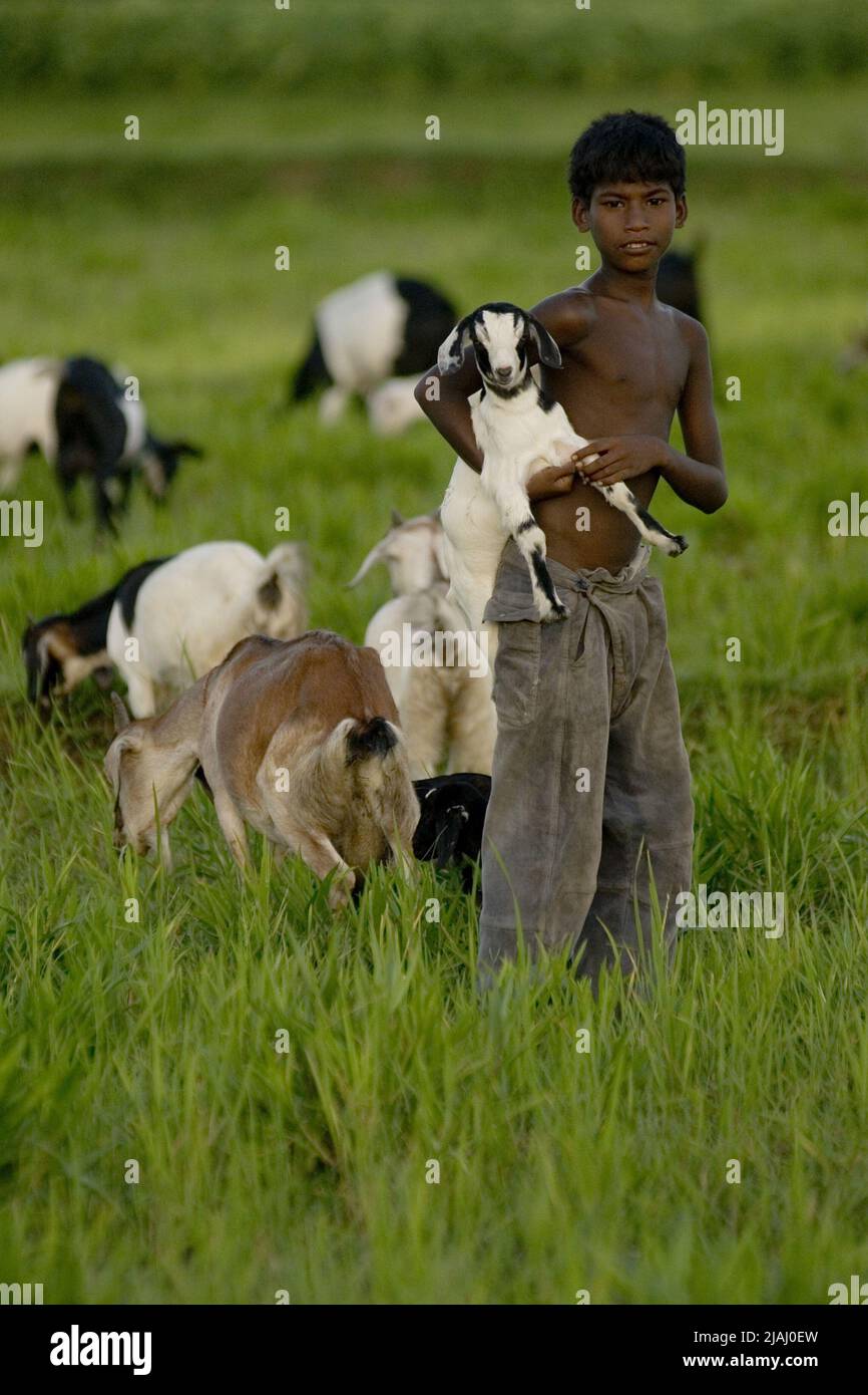 Children with goats hi-res stock photography and images - Alamy