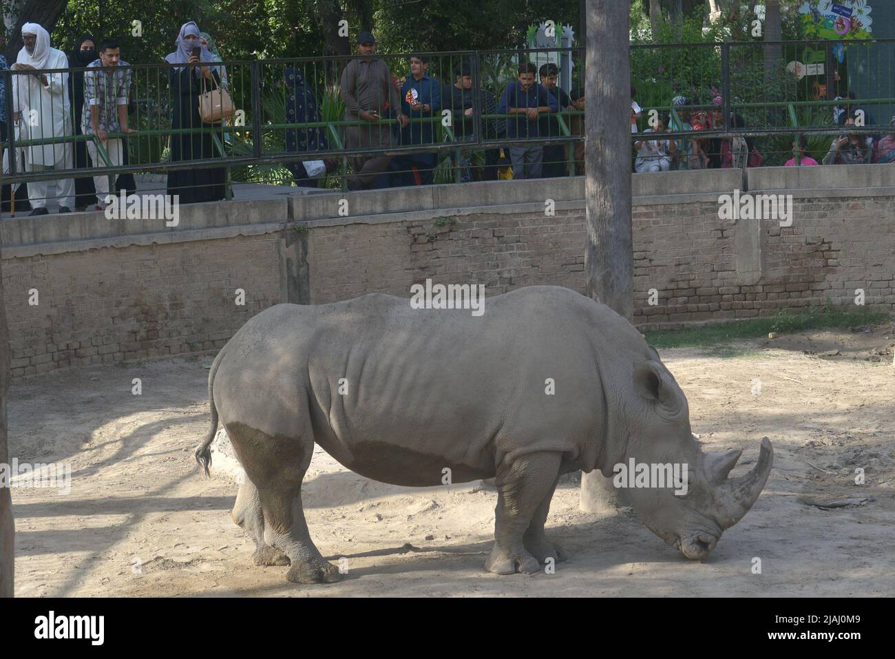 At lahore zoo hi-res stock photography and images - Alamy