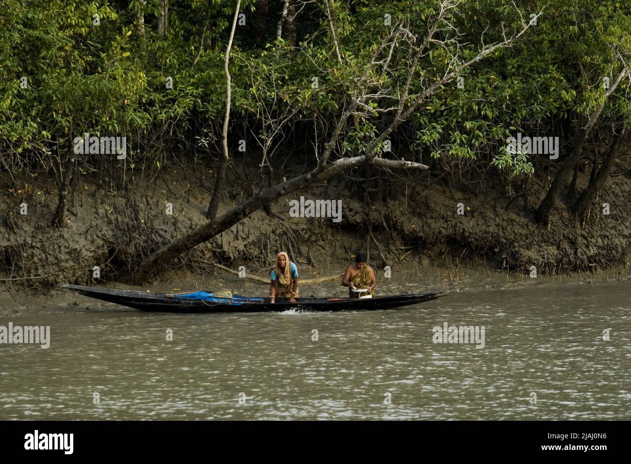 Shrimp farm mangrove hi-res stock photography and images - Alamy