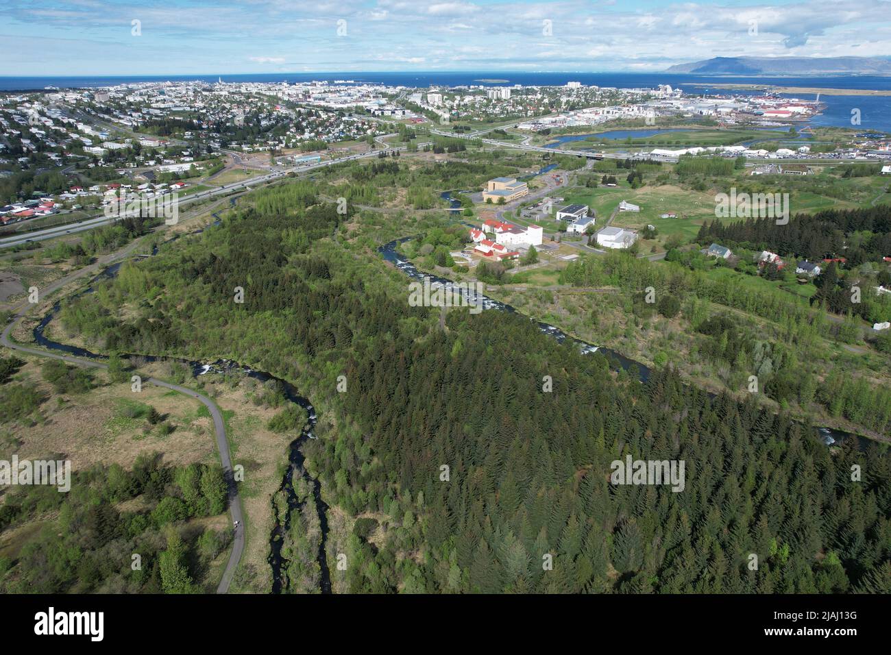 Forest in Reykjavik, Iceland: Ellida River Valley (Ellidaardalur ...