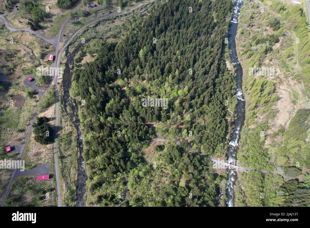 Forest in Reykjavik, Iceland: Ellida River Valley (Ellidaardalur ...