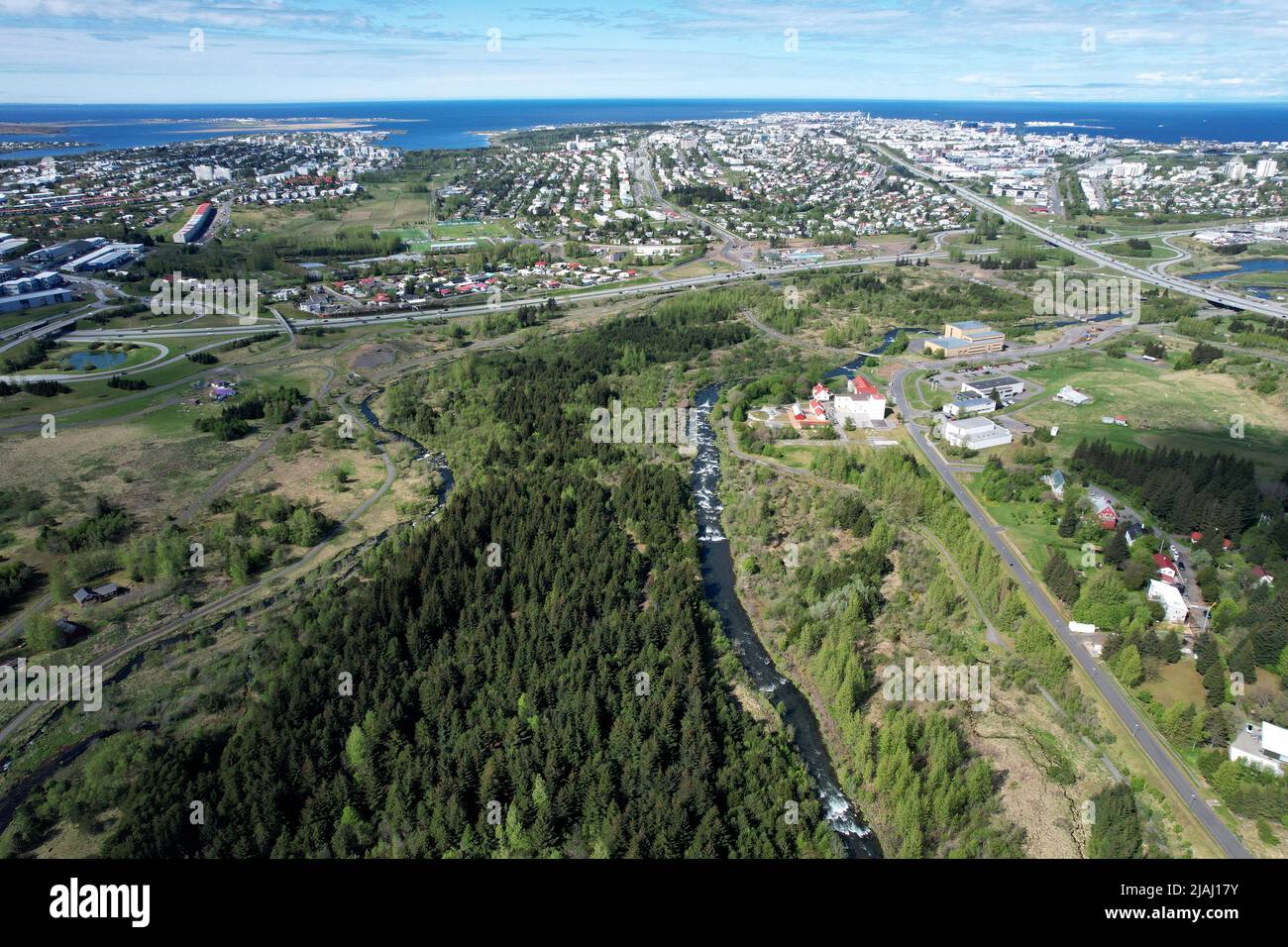 Forest in Reykjavik, Iceland: Ellida River Valley (Ellidaardalur ...