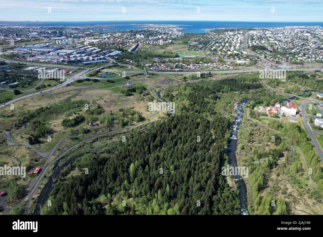 Forest in Reykjavik, Iceland: Ellida River Valley (Ellidaardalur ...