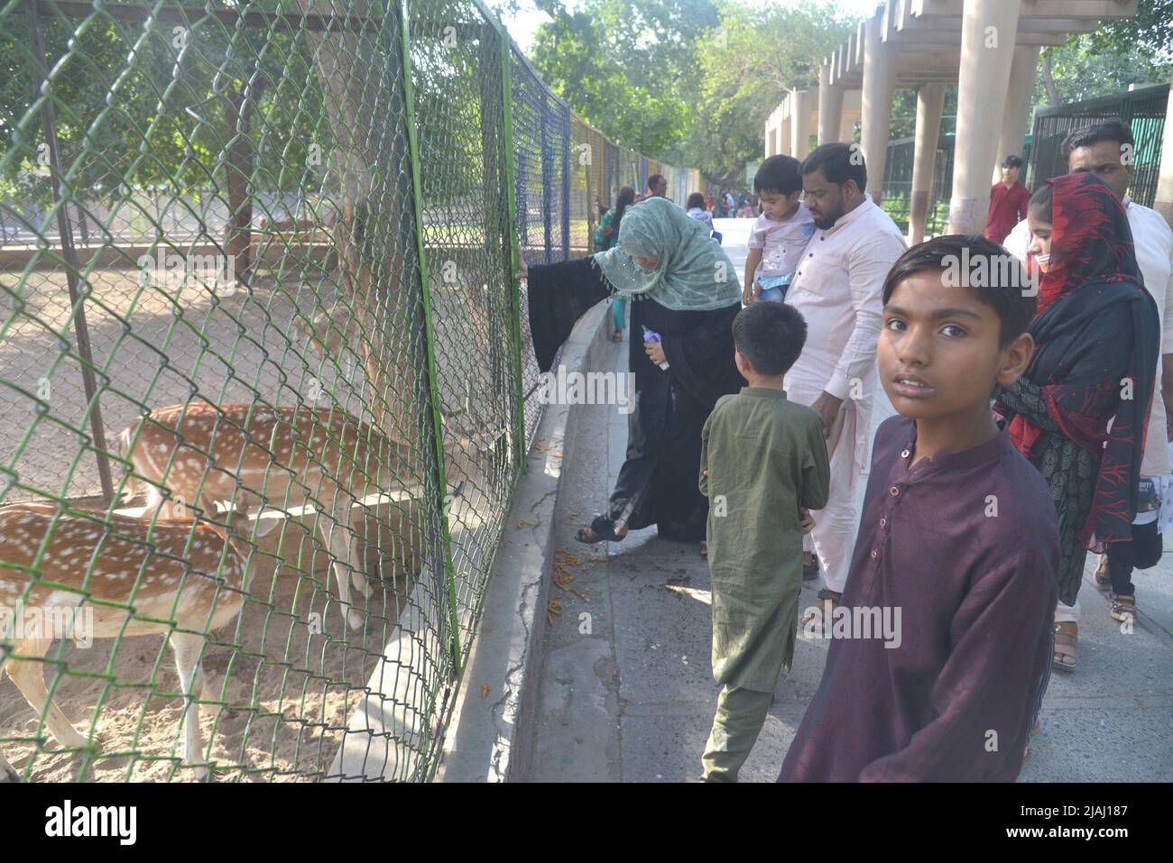 Visit the zoo hi-res stock photography and images - Alamy