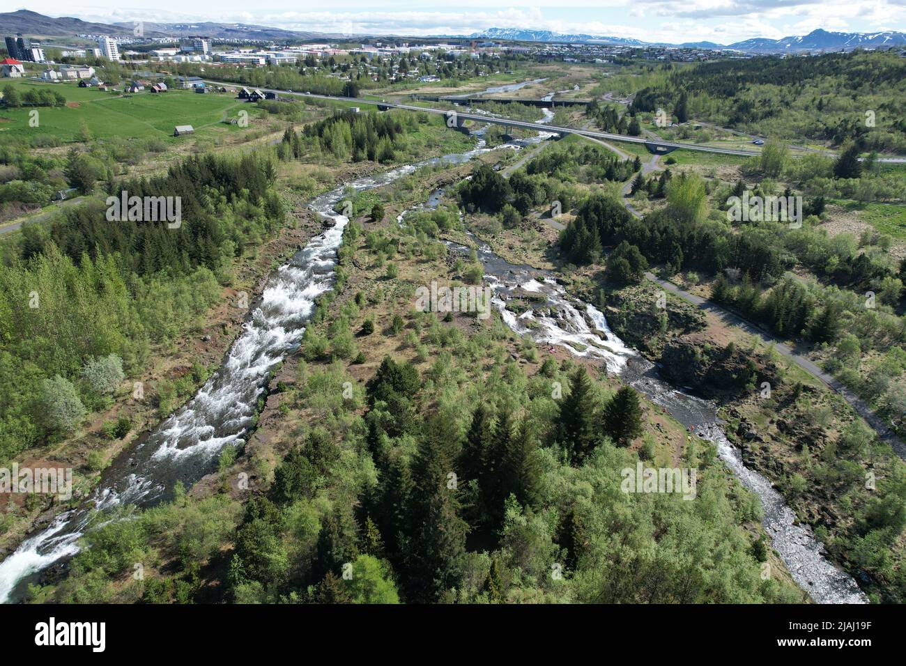 Forest in Reykjavik, Iceland: Ellida River Valley (Ellidaardalur ...