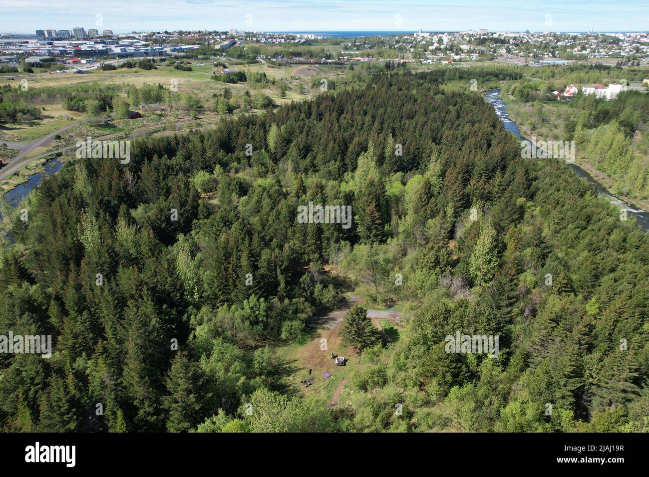 Forest in Reykjavik, Iceland: Ellida River Valley (Ellidaardalur ...