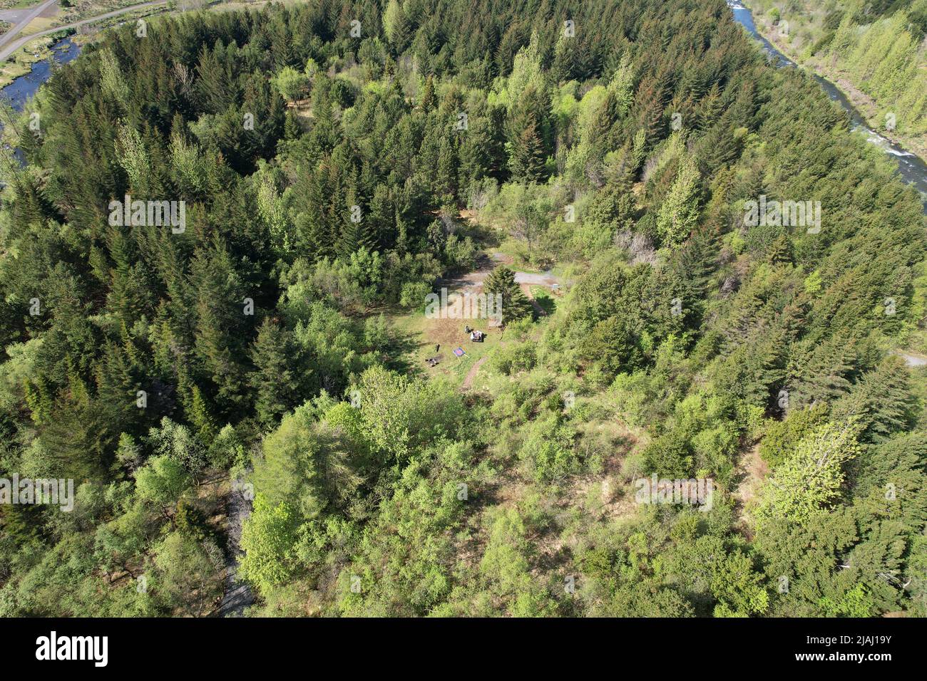 Forest in Reykjavik, Iceland: Ellida River Valley (Ellidaardalur ...