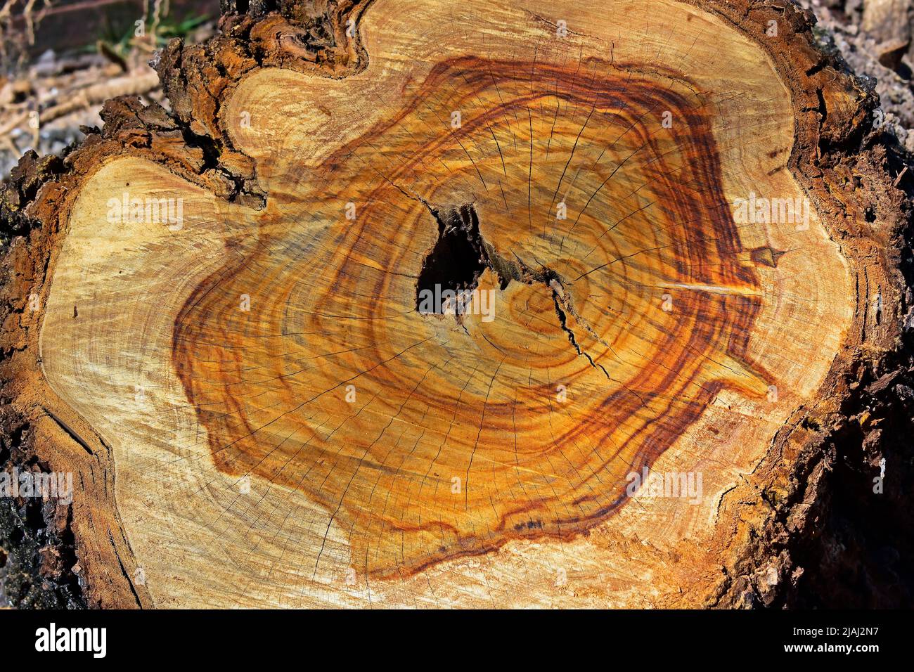 Sidewalk cut hi-res stock photography and images - Alamy