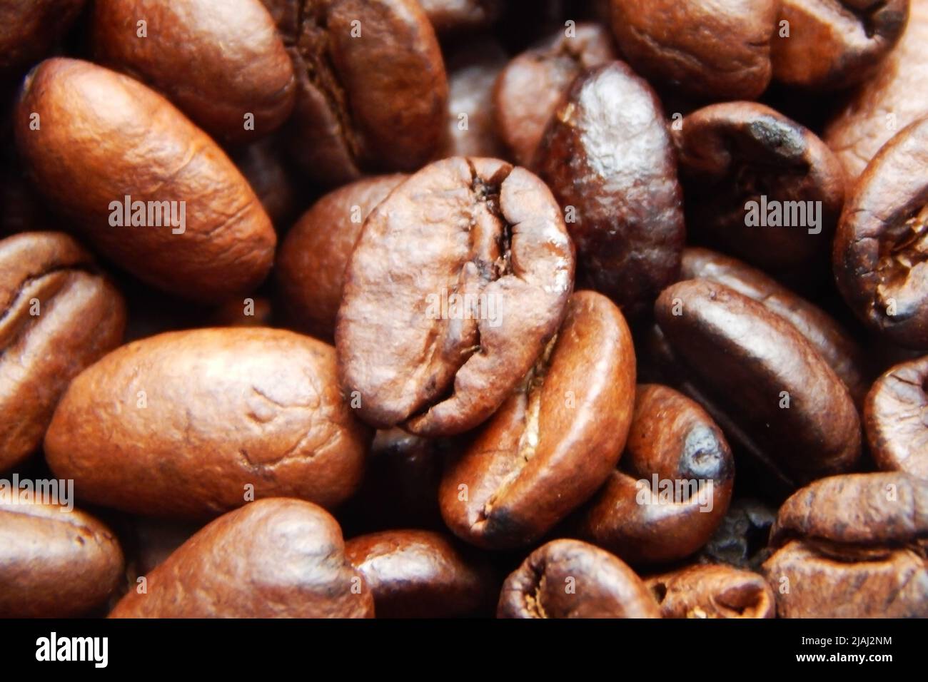Beautiful grains of coffee, close up. Background, texture Stock Photo ...