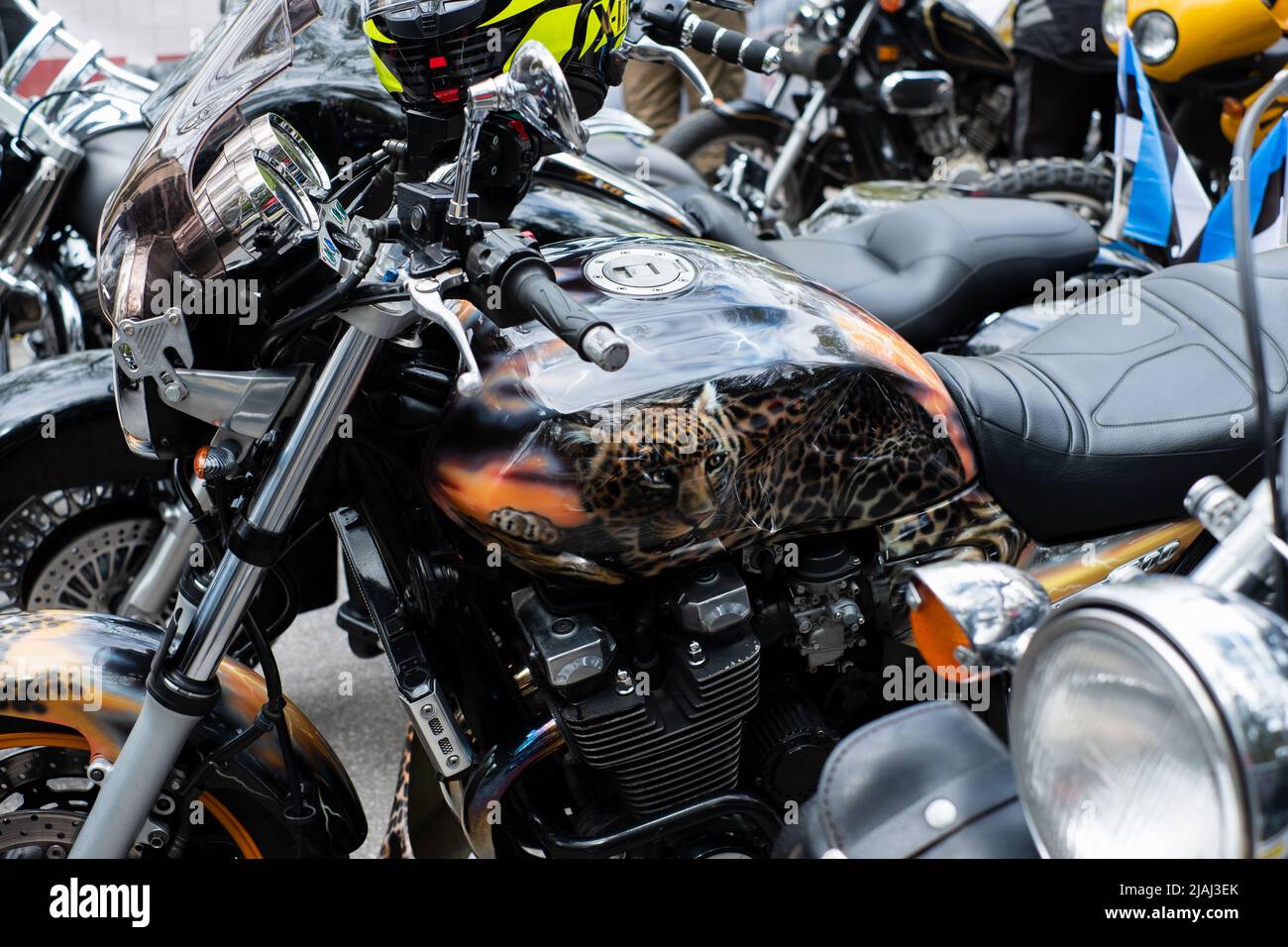 Estonian Motorcycle Season Opening. Close-up of a bike with leopard ...