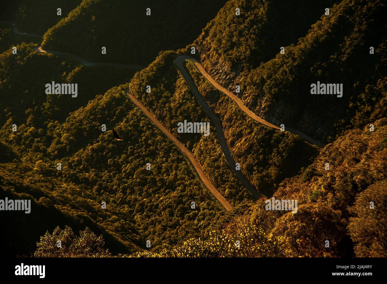 Serra do Rio do Rastro, a very popular road among tourists that come ...