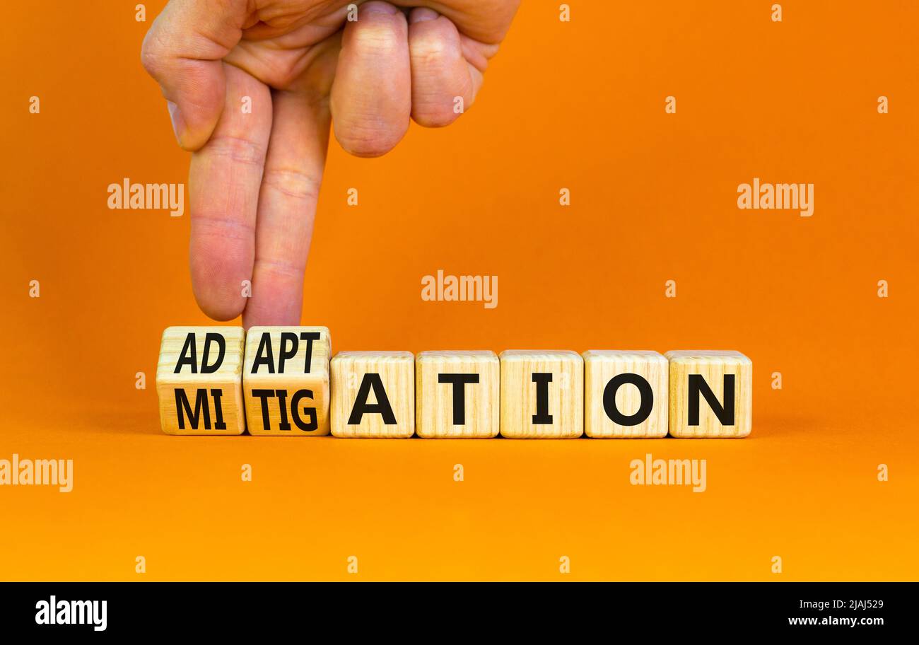 Adaptation or mitigation symbol. Businessman turns cubes and changes ...
