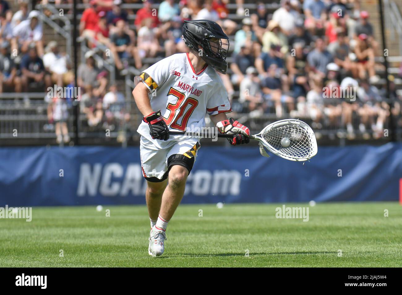 Maryland v cornell 29 jpg hi-res stock photography and images - Alamy