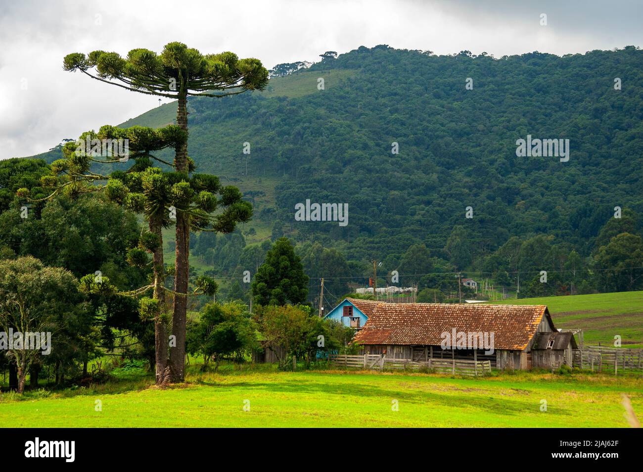 Rural life on a farm at Santa Catarina State, Brazil Stock Photo - Alamy