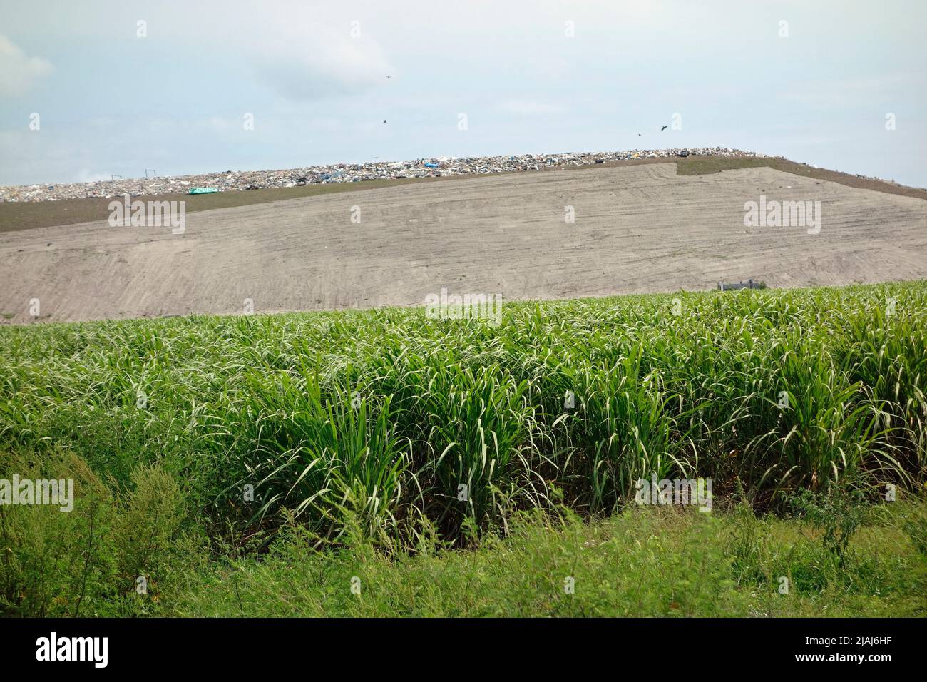 Landfills usa hi-res stock photography and images - Alamy