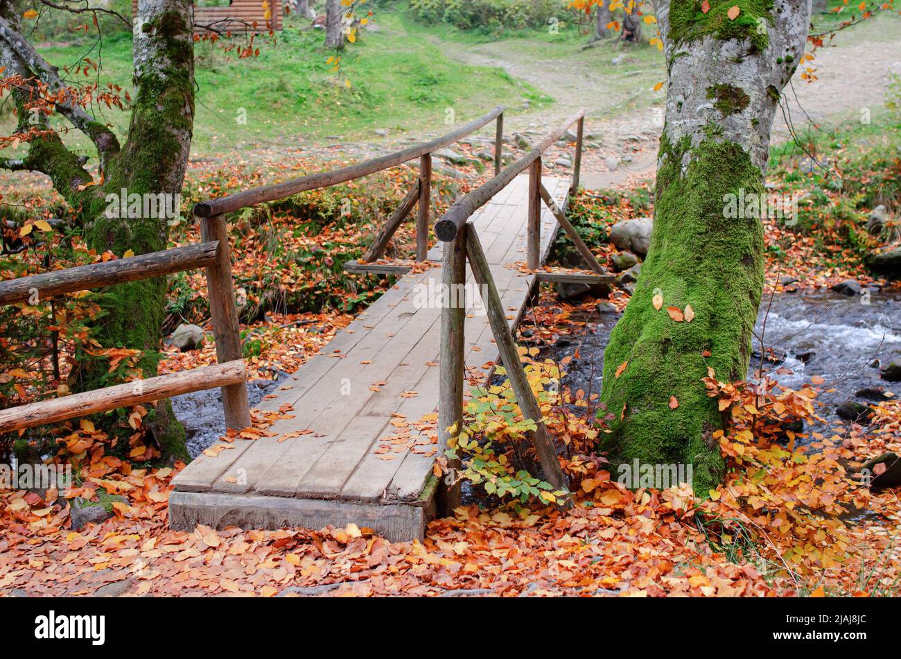 Wooden bridge over a stream Stock Photo - Alamy
