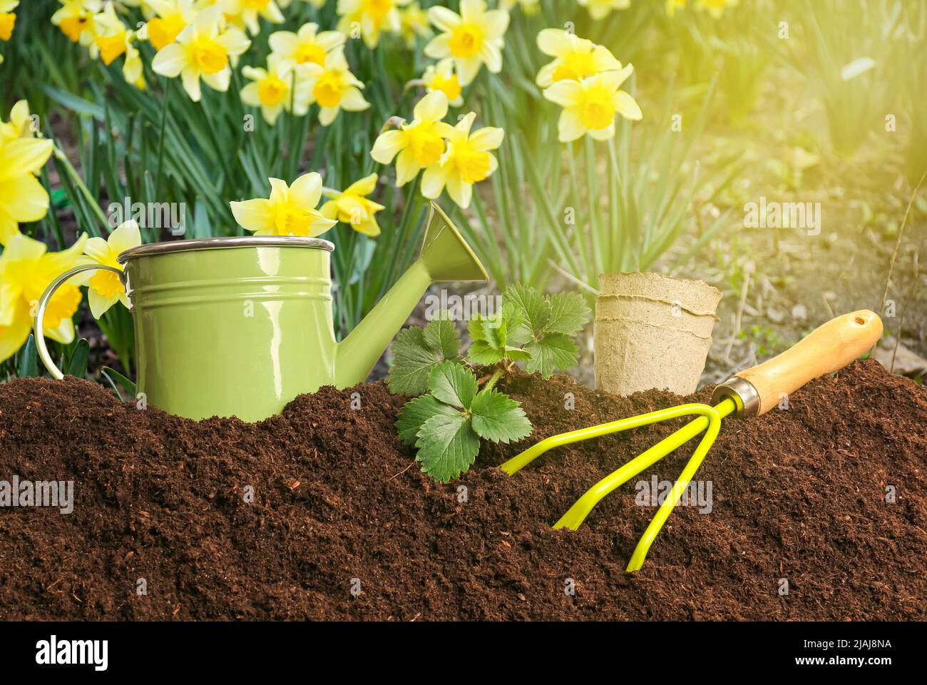 Gardening tools on soil in garden with beautiful flowers Stock Photo ...