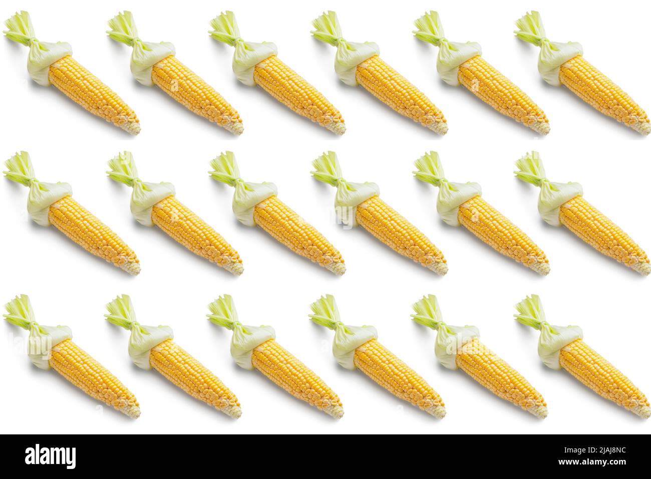 Many fresh corn cobs on white background. Pattern for design Stock ...