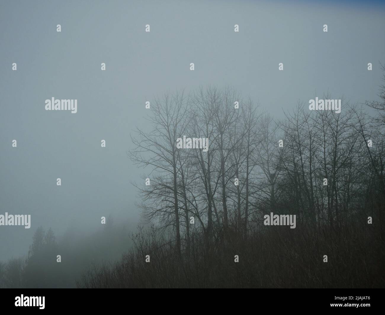 Stromy weather hi-res stock photography and images - Alamy
